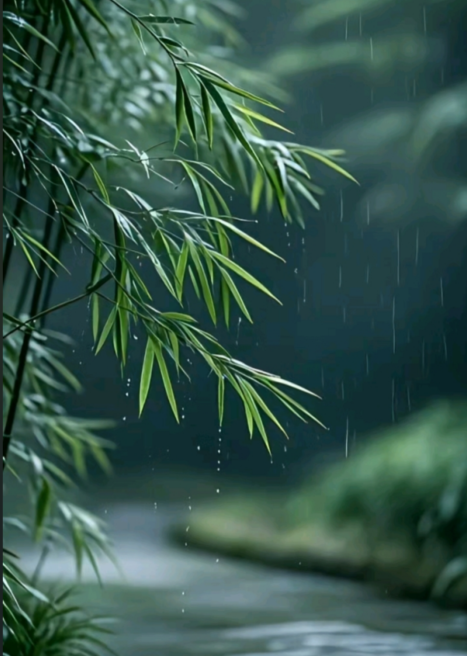 Rain Sounds & Thunderstorms for Sleep | RainSleep